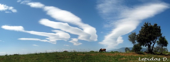 Έλα στο Βόλο ταξιδευτή! – Δημήτρης Λεπίδας